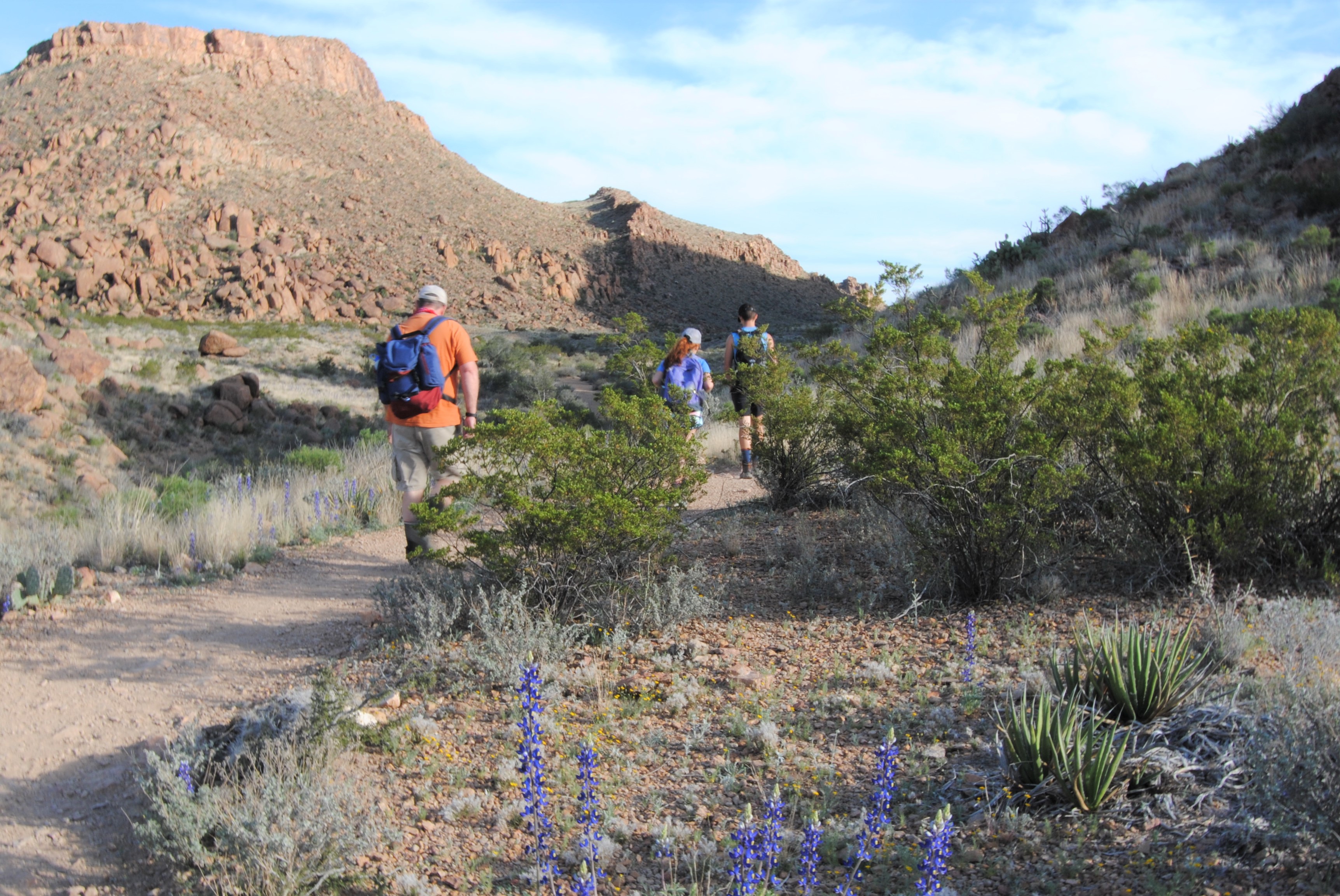 Grapevine Hills Trail – National Park Adventures