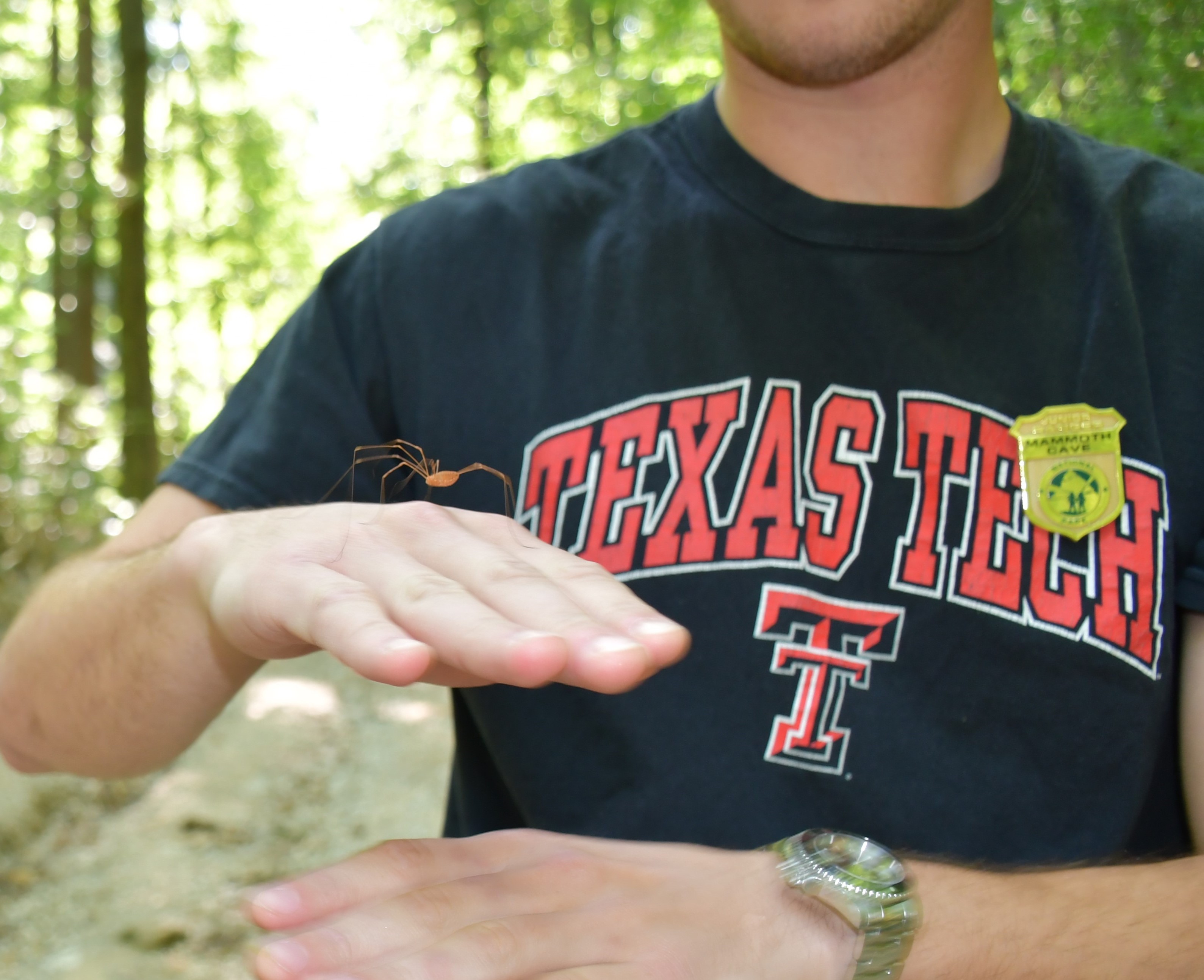 Mammoth Cave National Park– KY – A Cave to Infinity and Beyond ...